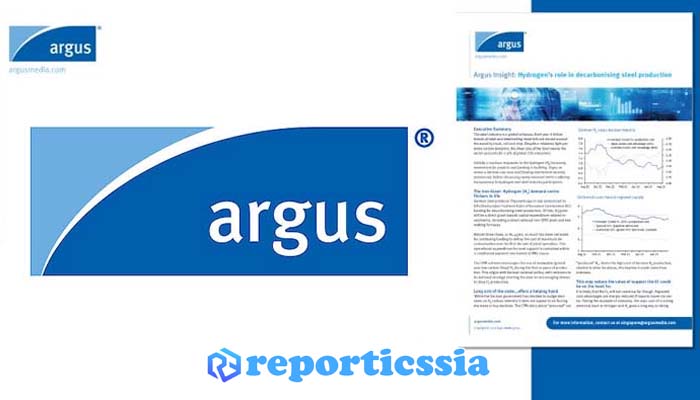 Что такое журнал Argus? - reporticssia